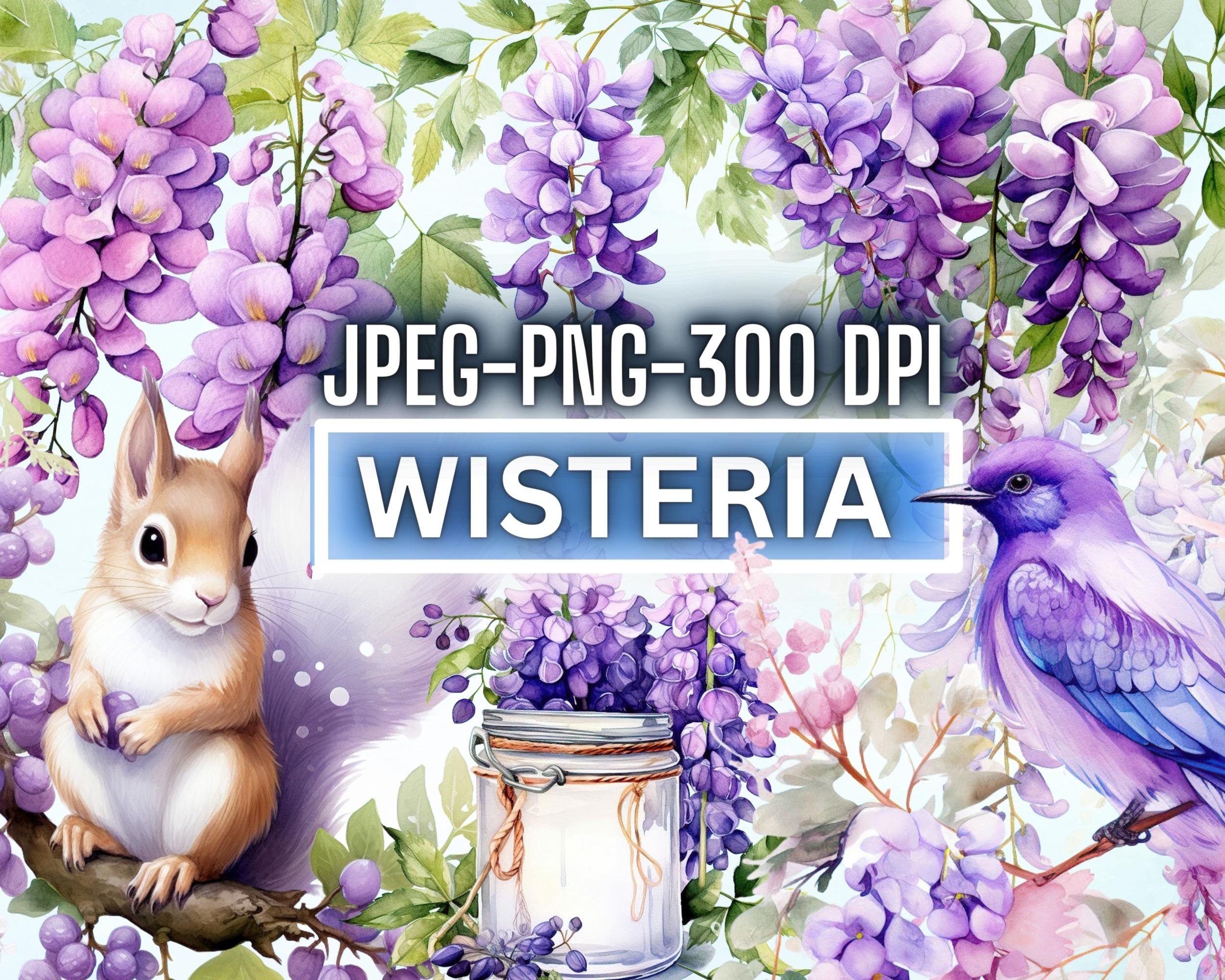 32 Watercolor Wisteria Purple Flower Clip Art Bundle,violet Flowers Png ...