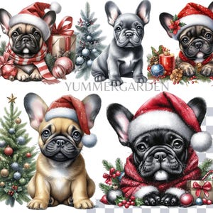 French Bulldog Clipart Bundle, Frenchie Clip Art PNG, Christmas PNG ...