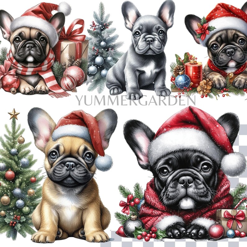 Christmas French Bulldog Clipart Bundle, Holiday Frenchie Dog PNG ...