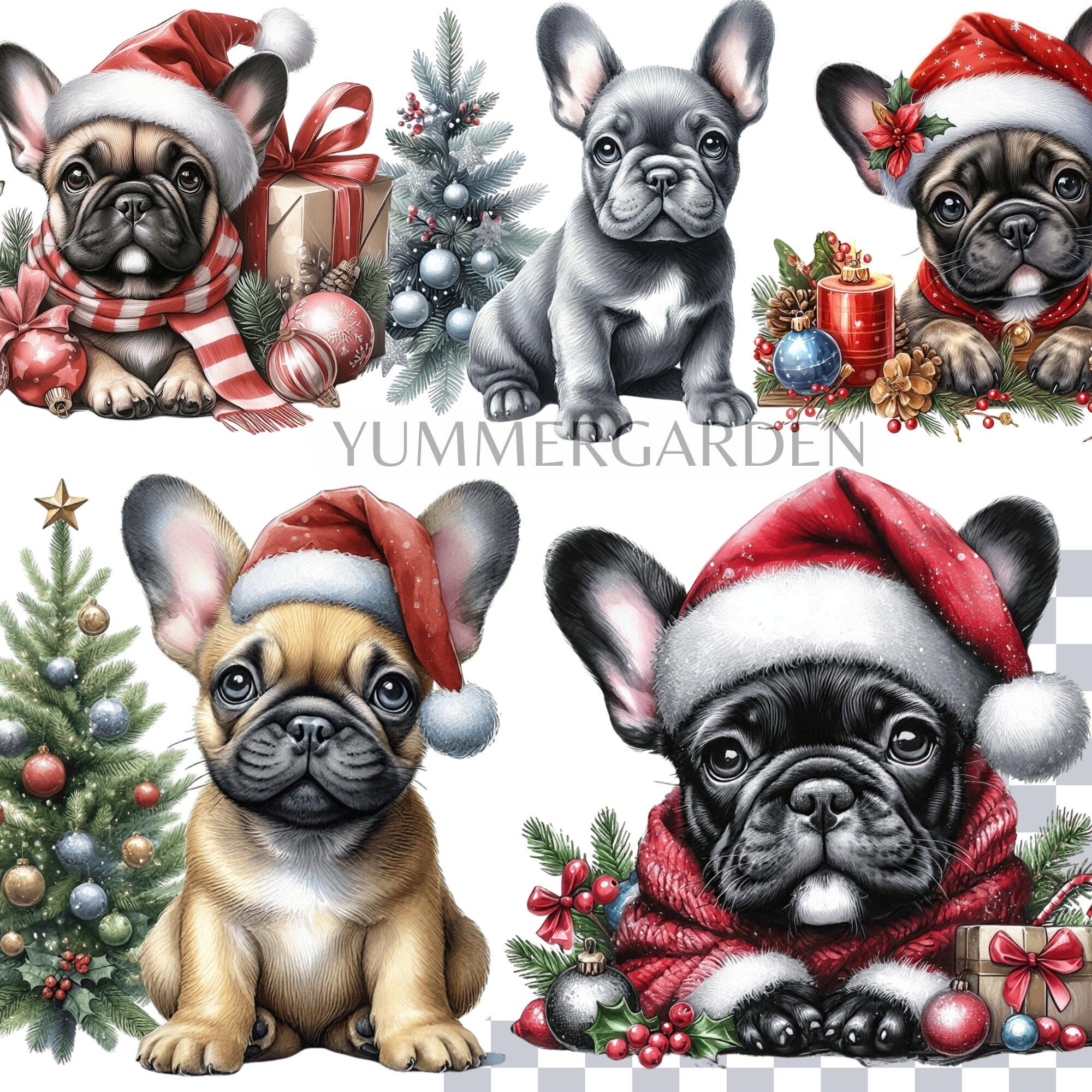 Christmas French Bulldog Clipart Bundle, Holiday Frenchie Dog PNG ...