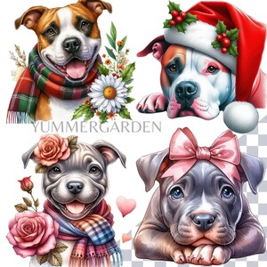 Christmas Pitbull PNG Bundle, Christmas Dog Clipart Set, Christmas Dog ...