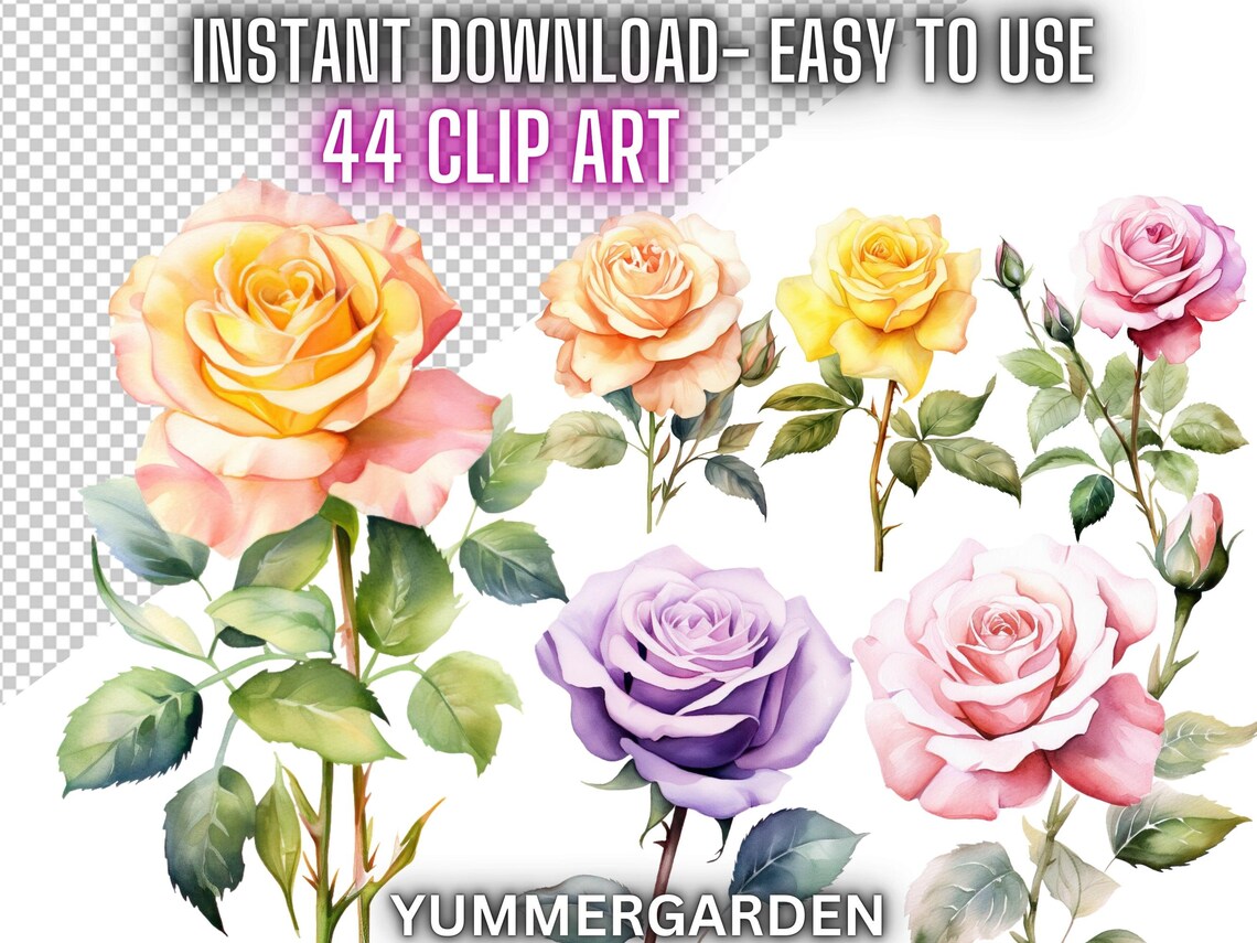 44 Watercolor Pastel Roses Clip Art Bundle Pink Blue Peach - Etsy