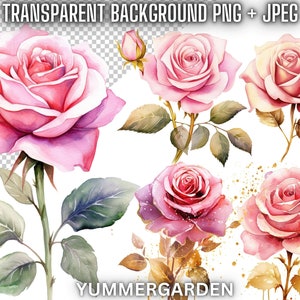 30 Watercolor Golden Pink Rose Flower Clip Art Bundle, Rose Gold PNG ...
