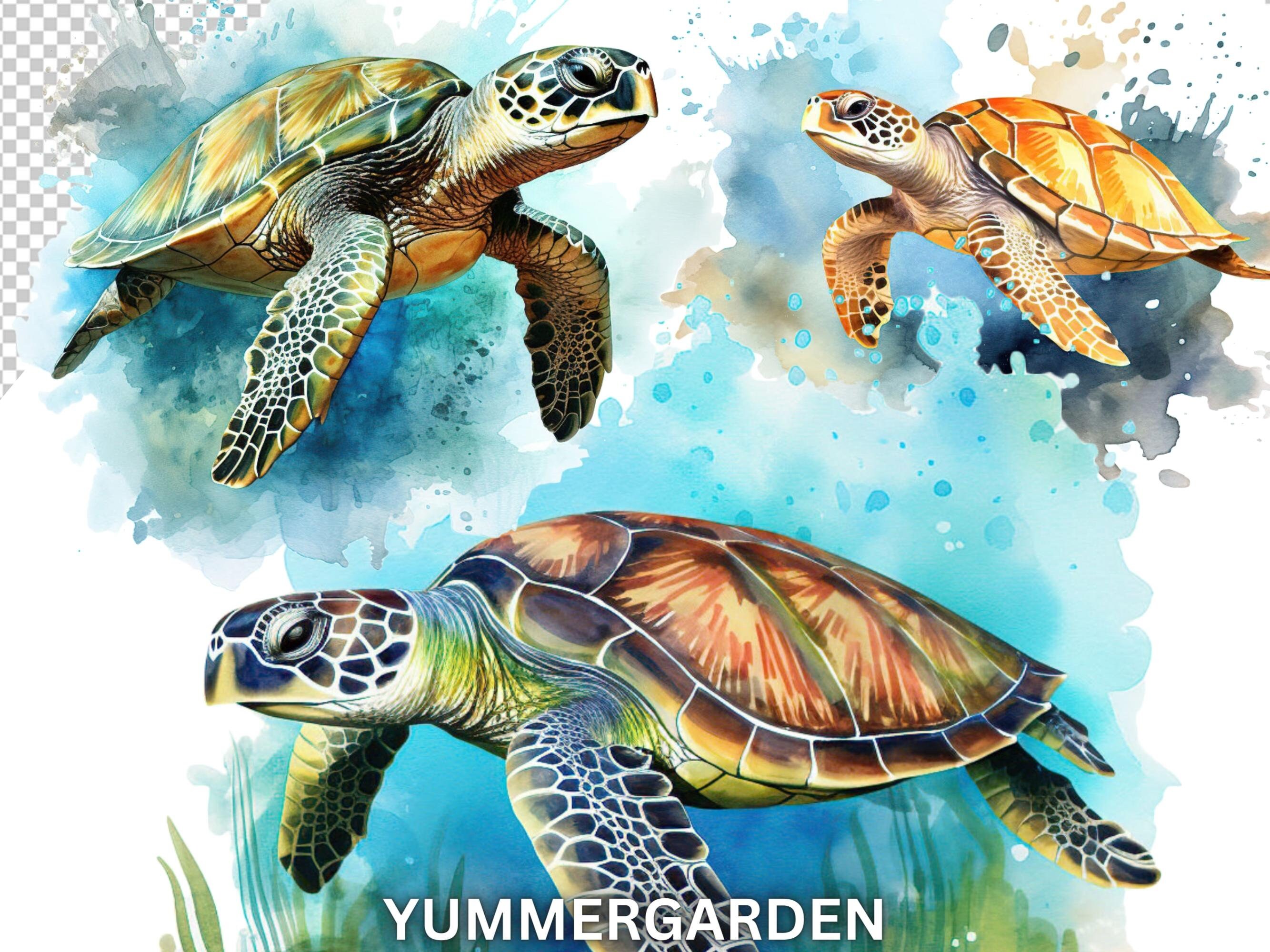 18 Watercolor Sea Turtles, Baby Animal Clip Art Bundle, Kawaii Turtle ...