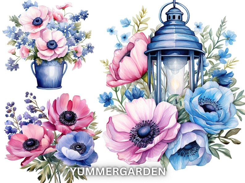30 Watercolor Anemone Flower Clip Art Bundle Floral Png - Etsy