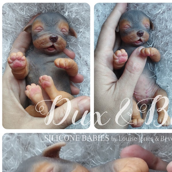 Puppy Reborn - Etsy