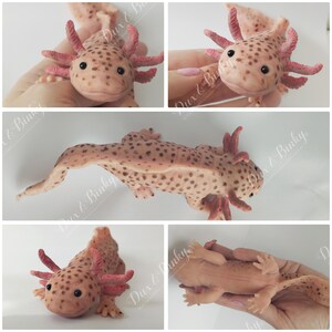 Axolotl, Realistic Full Silicone About 7.5 Inches - Etsy