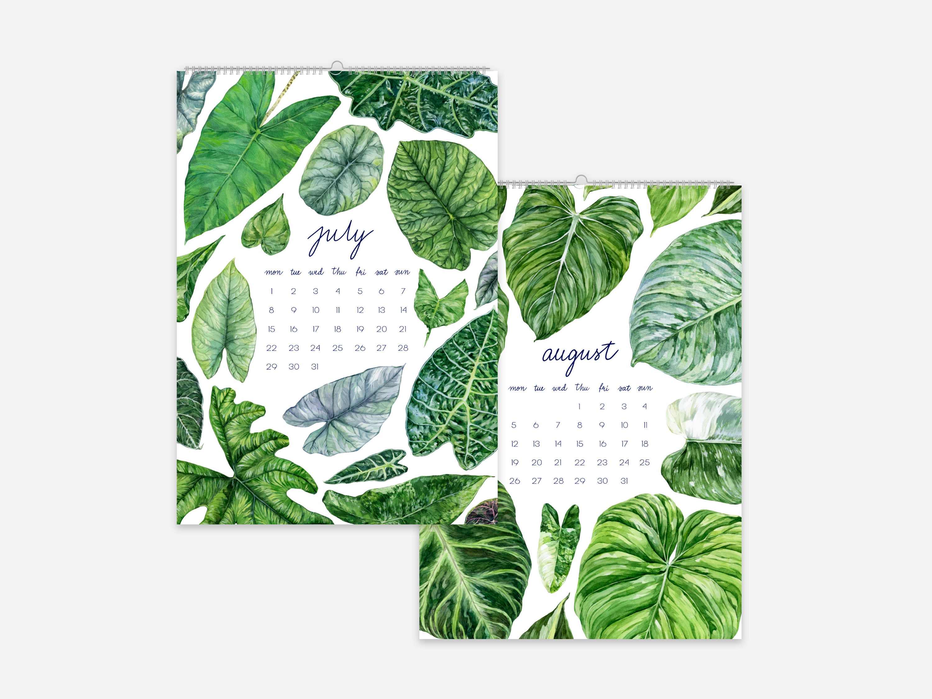 2024 The Botanic Vertical Wall Calendars sold by Gence Jacqueline | SKU ...