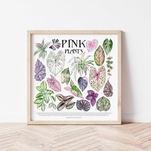 Pink Plants Poster House Plants, Houseplant Lover Wall Decor, Botanical ...