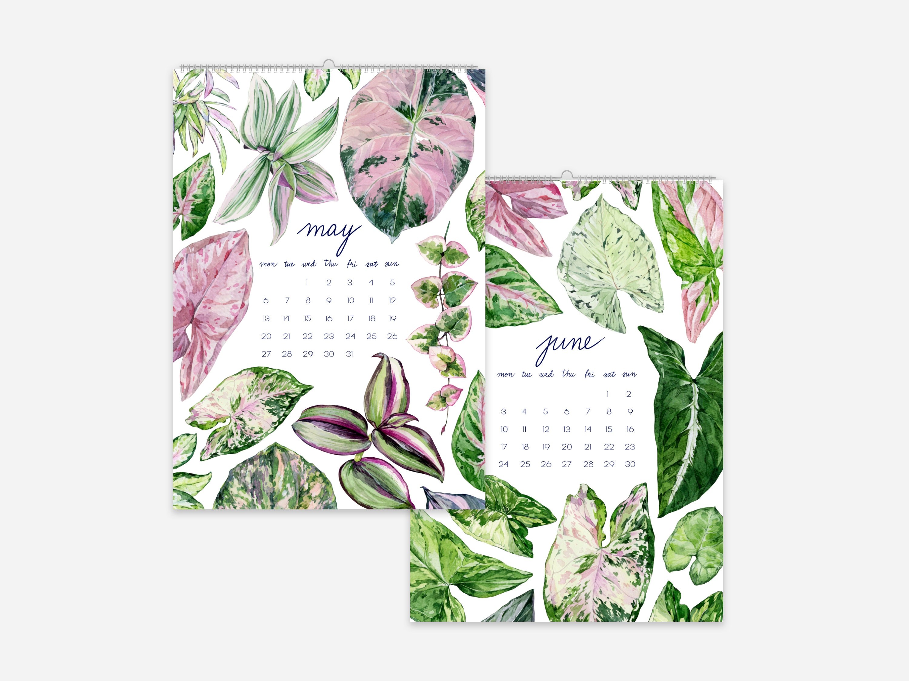 2024 The Botanic Vertical Wall Calendars sold by Gence Jacqueline | SKU ...