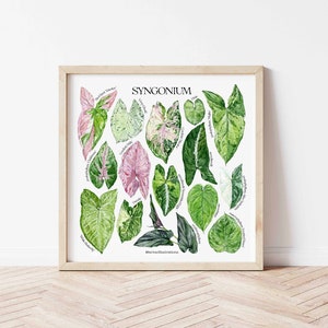 Syngonium Genus Poster House Plants, Houseplant Lover Wall Decor ...