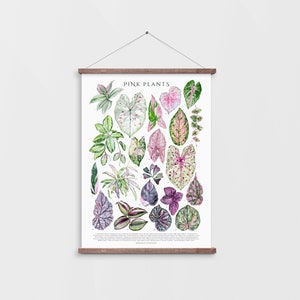 Pink Plants Poster House Plants, Houseplant Lover Wall Decor, Botanical ...