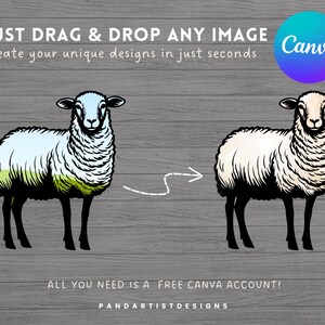 Make Your Own Sheep Design on Canva, Editable Template CANVA Frames ...
