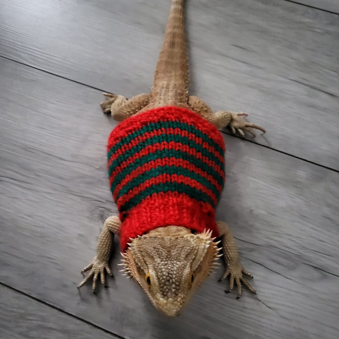 Bearded Dragon Jumpers - Etsy