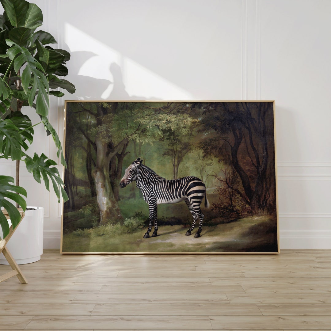 George Stubbs Zebra Famous Animal Art available Framed or Unframed - Etsy