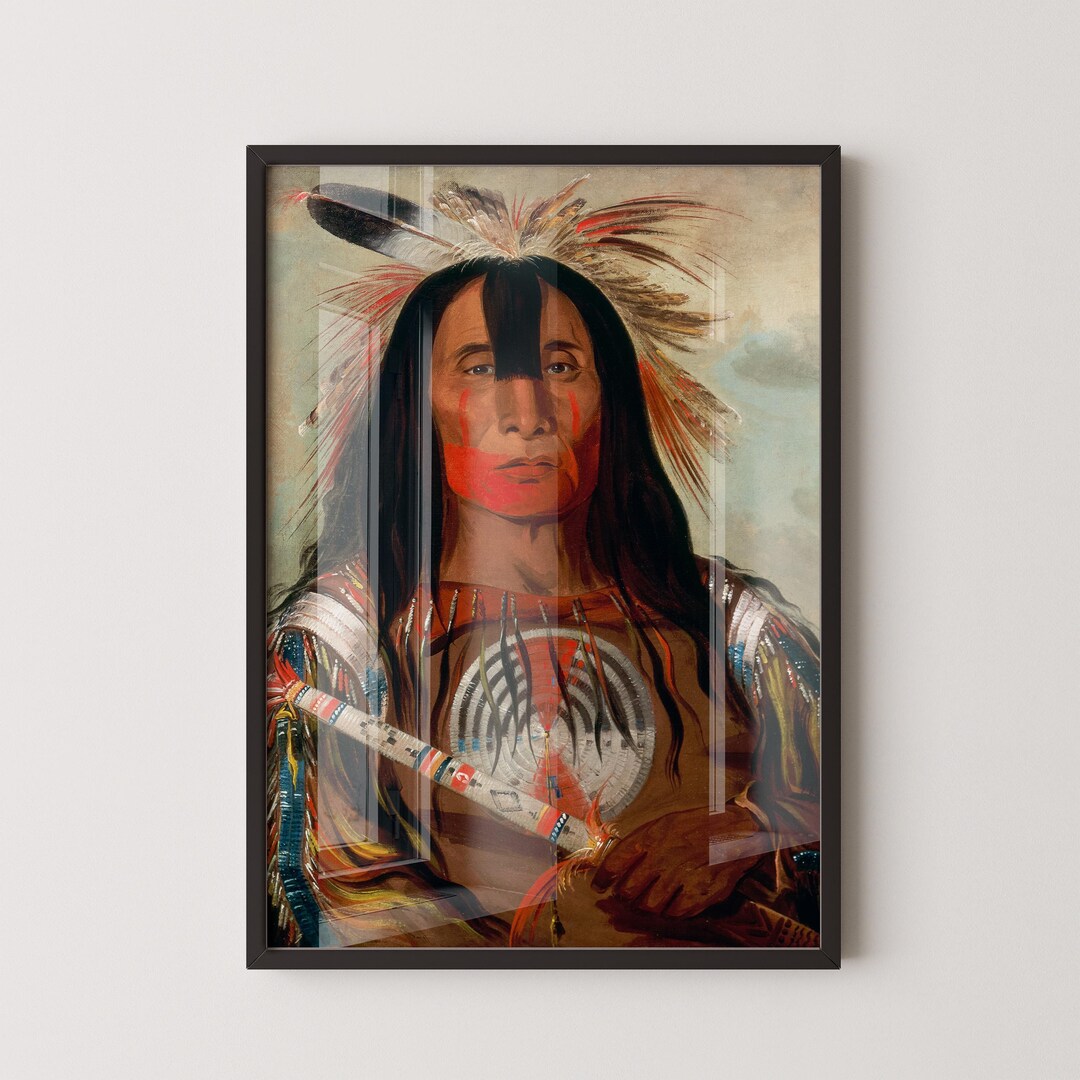 George Catlin - Blood Leader Stu-mick-o-súcks | Famous Native American ...