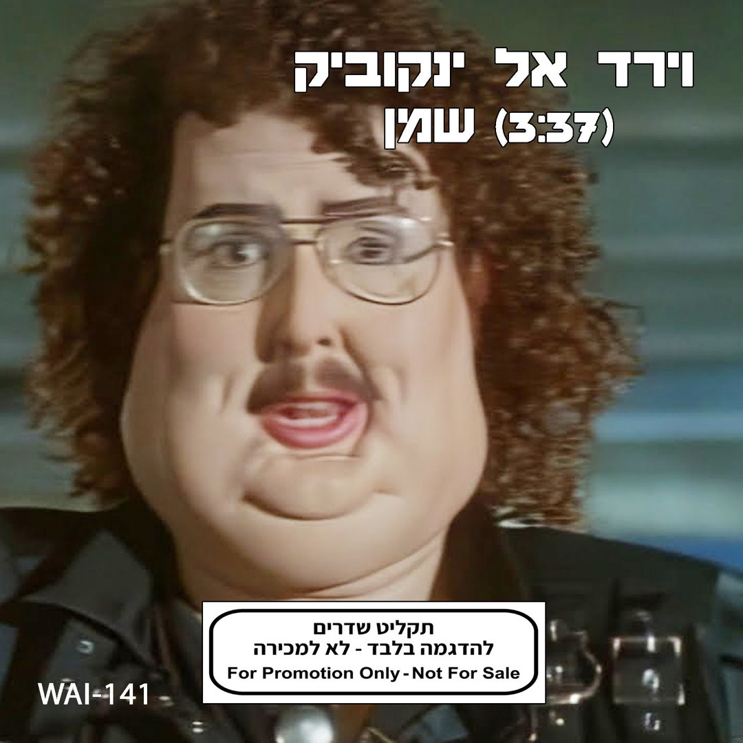 Weird Al Yankovic you Know I'm Fat 12 Rare Record Promo From the Best ...