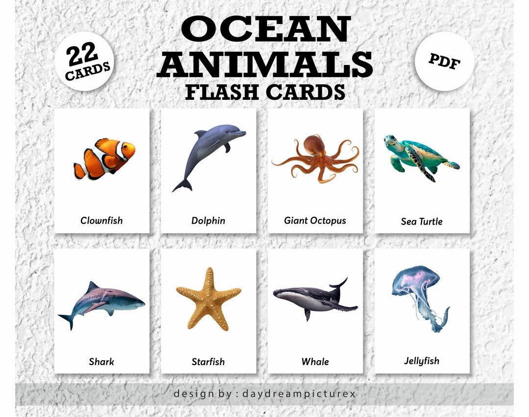 22 OCEAN Animals Montessori Flashcards, OCEAN Animals Flash Cards, PDF ...