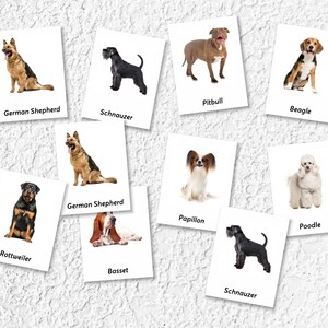 19 DOGS BREED Montessori Flashcards, Dogs Flash Cards, PDF Printable ...