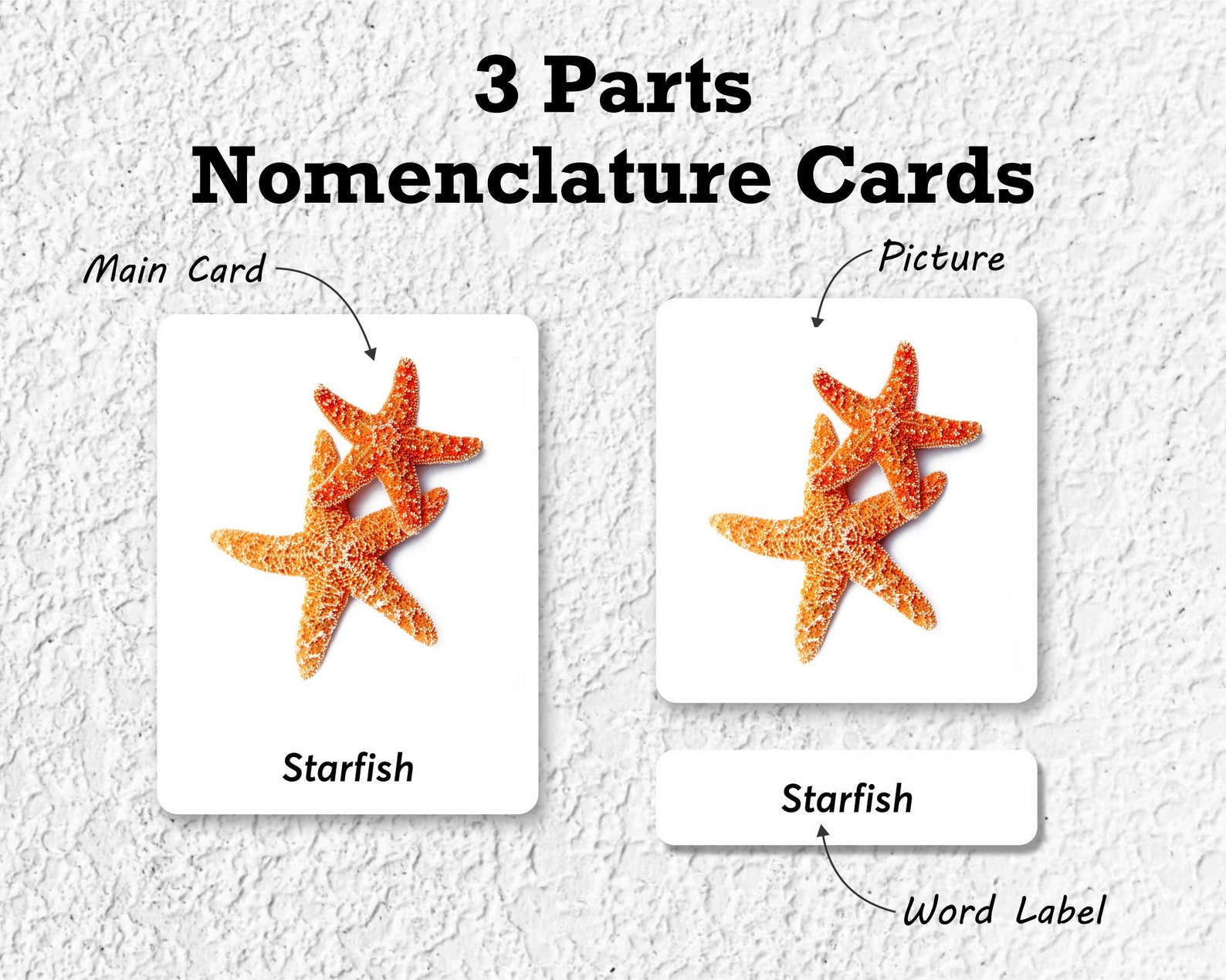 30 Mix Animals Montessori Flashcards, Animals Flash Cards, PDF ...