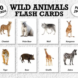 20 Wild Animals Montessori Flashcards, Animals Flash Cards, PDF ...