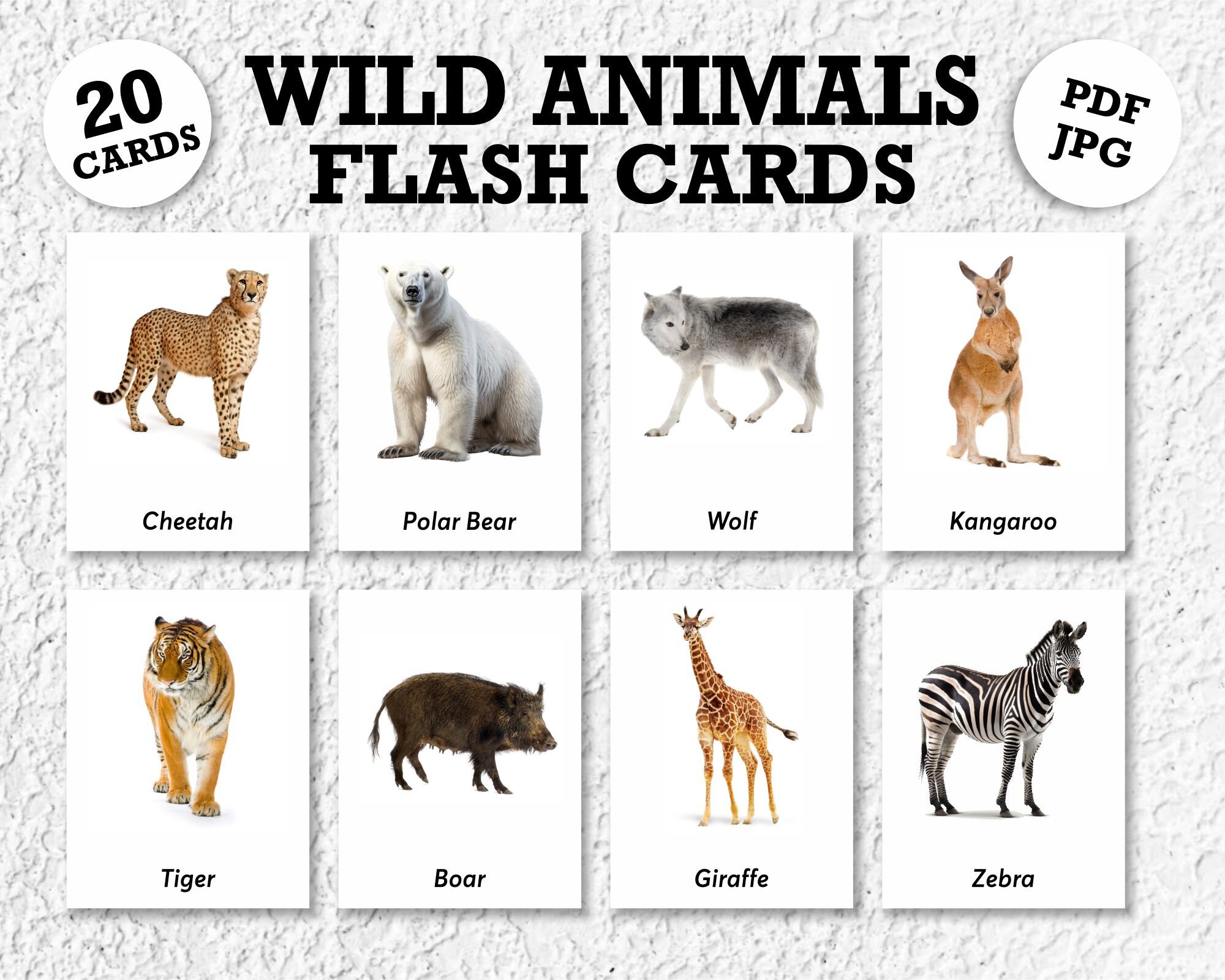 20 Wild Animals Montessori Flashcards, Animals Flash Cards, PDF ...