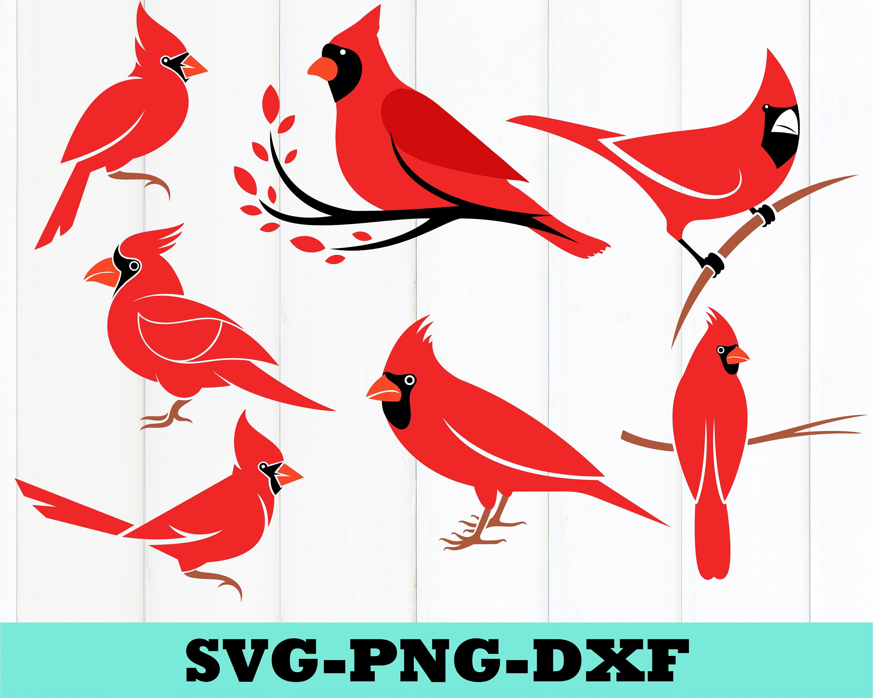 Cardinal Bird Svg, Cardinal Svg Bundle, Red Bird Svg, Red Bird Bundle ...