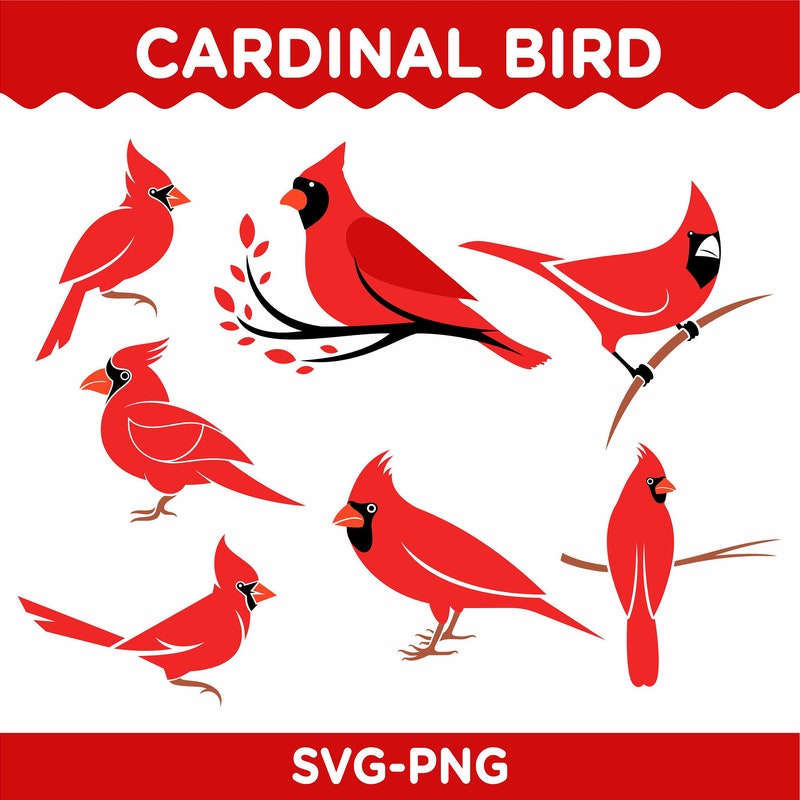 Cardinal Svg - Etsy