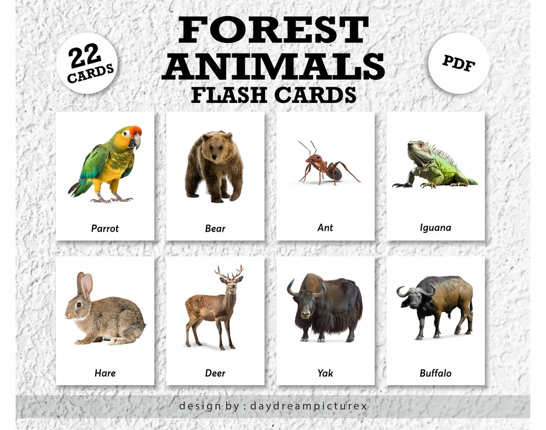 22 FOREST Animals Montessori Flashcards, FOREST Animals Flash Cards ...
