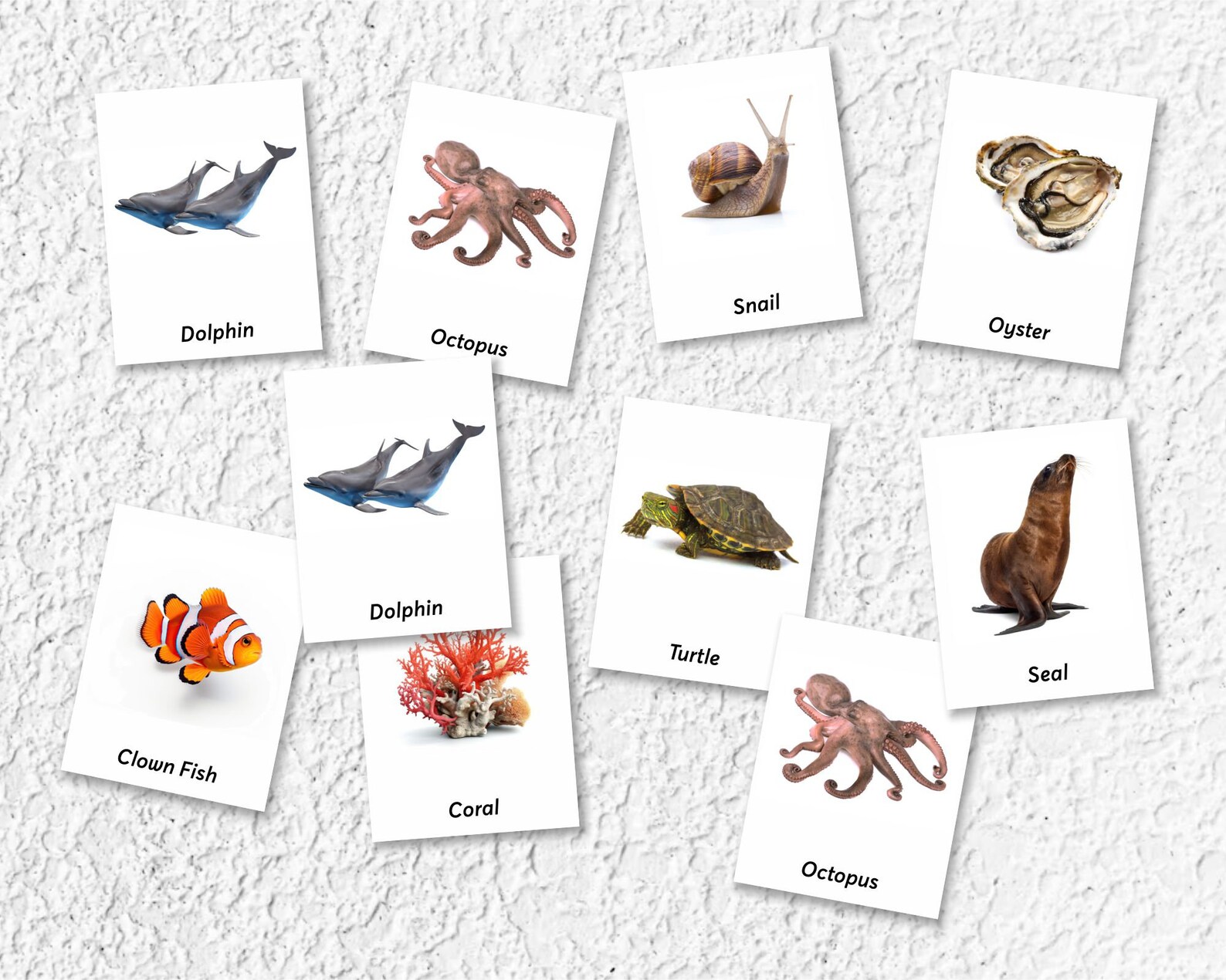 18 Sea Animals Montessori Flashcards, Animals Flash Cards, PDF ...