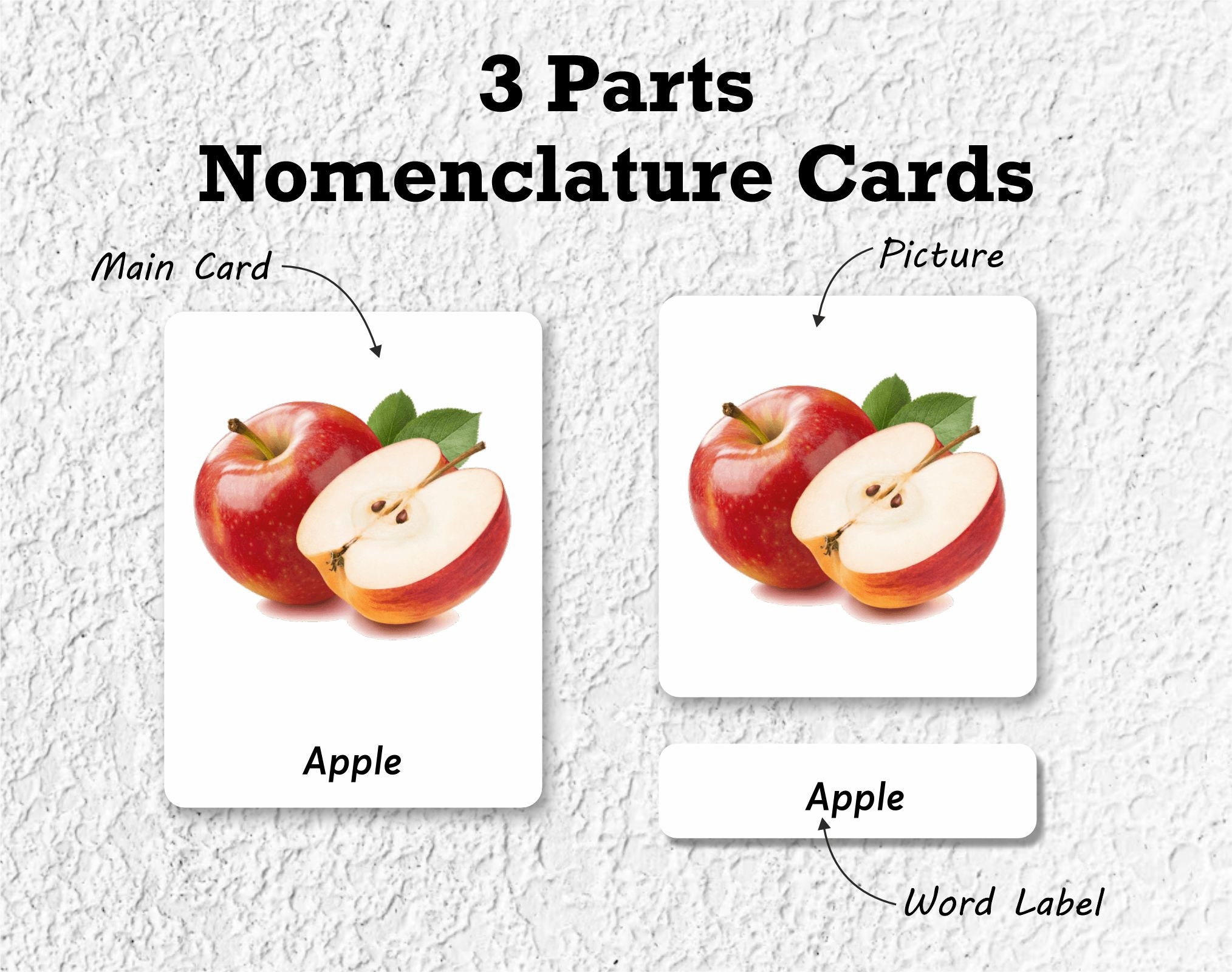 50 FRUITS Montessori Flashcards, FRUITS Flash Cards, PDF Printable ...