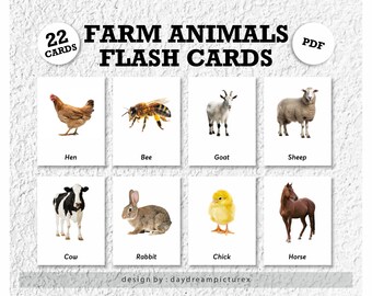 22 JUNGLE Animals Montessori Flashcards, JUNGLE Animals Flash Cards ...