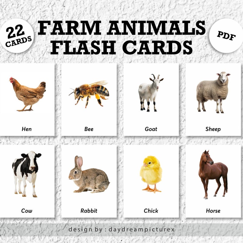 Animal Flash Cards - Etsy
