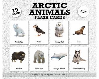 18 Sea Animals Montessori Flashcards, Animals Flash Cards, PDF ...