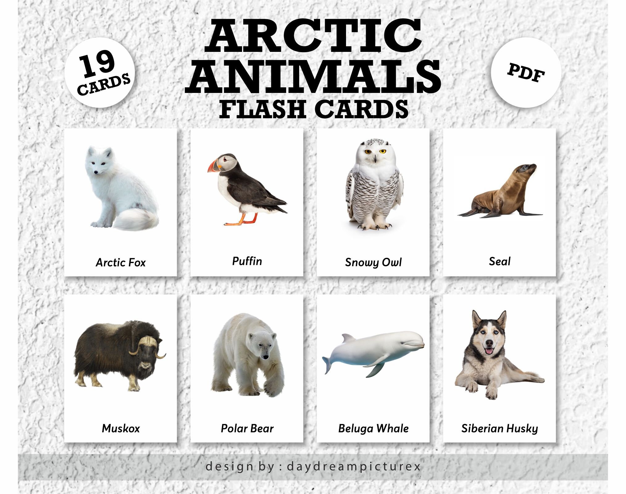 19 ARCTIC Animals Montessori Flashcards, ARCTIC Animals Flash Cards ...