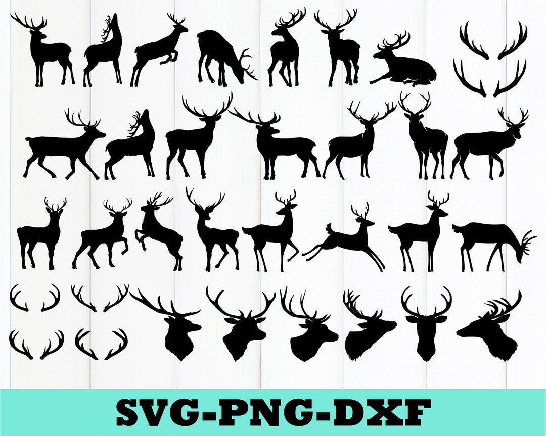 Deer Svg Bundle Deer Svg Animal Deer Svg Baby Deer Svg - Etsy