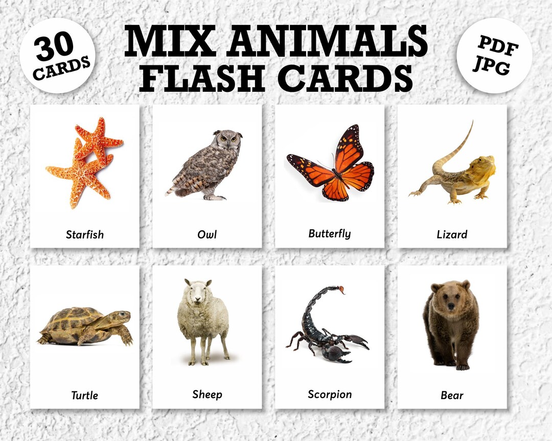 30 Mix Animals Montessori Flashcards Animals Flash Cards PDF - Etsy