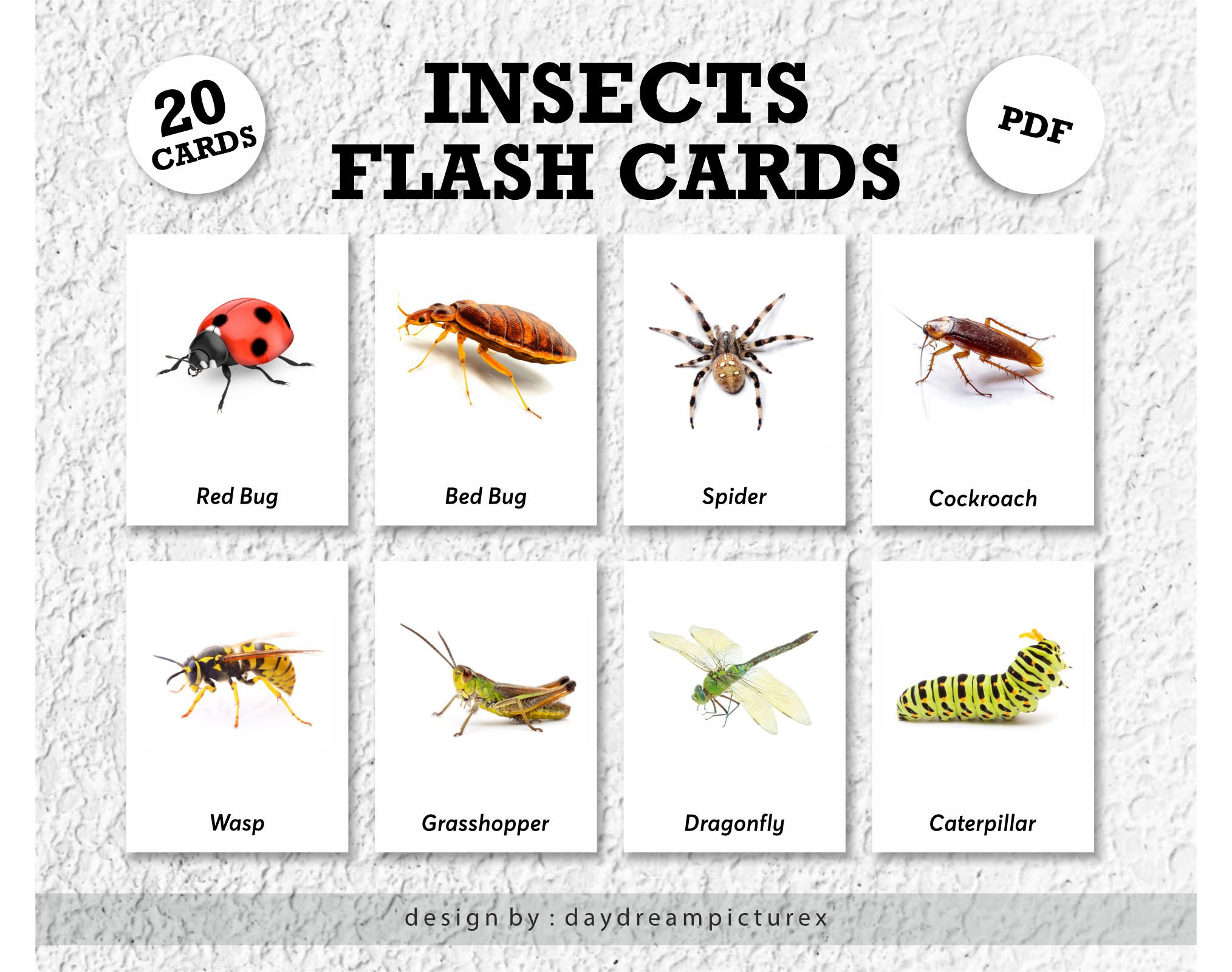 20 Insects Montessori Flashcards, Insects Flash Cards, PDF Printable ...