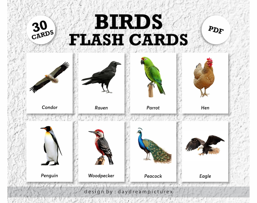 30 BIRDS Montessori Flashcards, BIRDS Flash Cards, PDF Printable ...