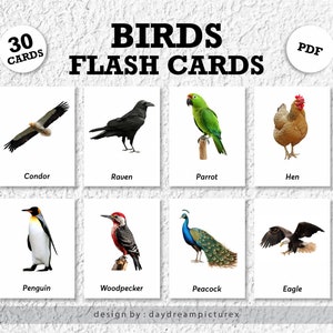 30 BIRDS Montessori Flashcards, BIRDS Flash Cards, PDF Printable ...