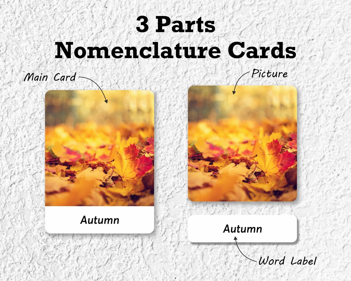 32 Seasons Montessori Flashcards, 4 SEASONS Flash Cards, PDF Printable ...
