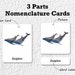 18 Sea Animals Montessori Flashcards, Animals Flash Cards, PDF ...