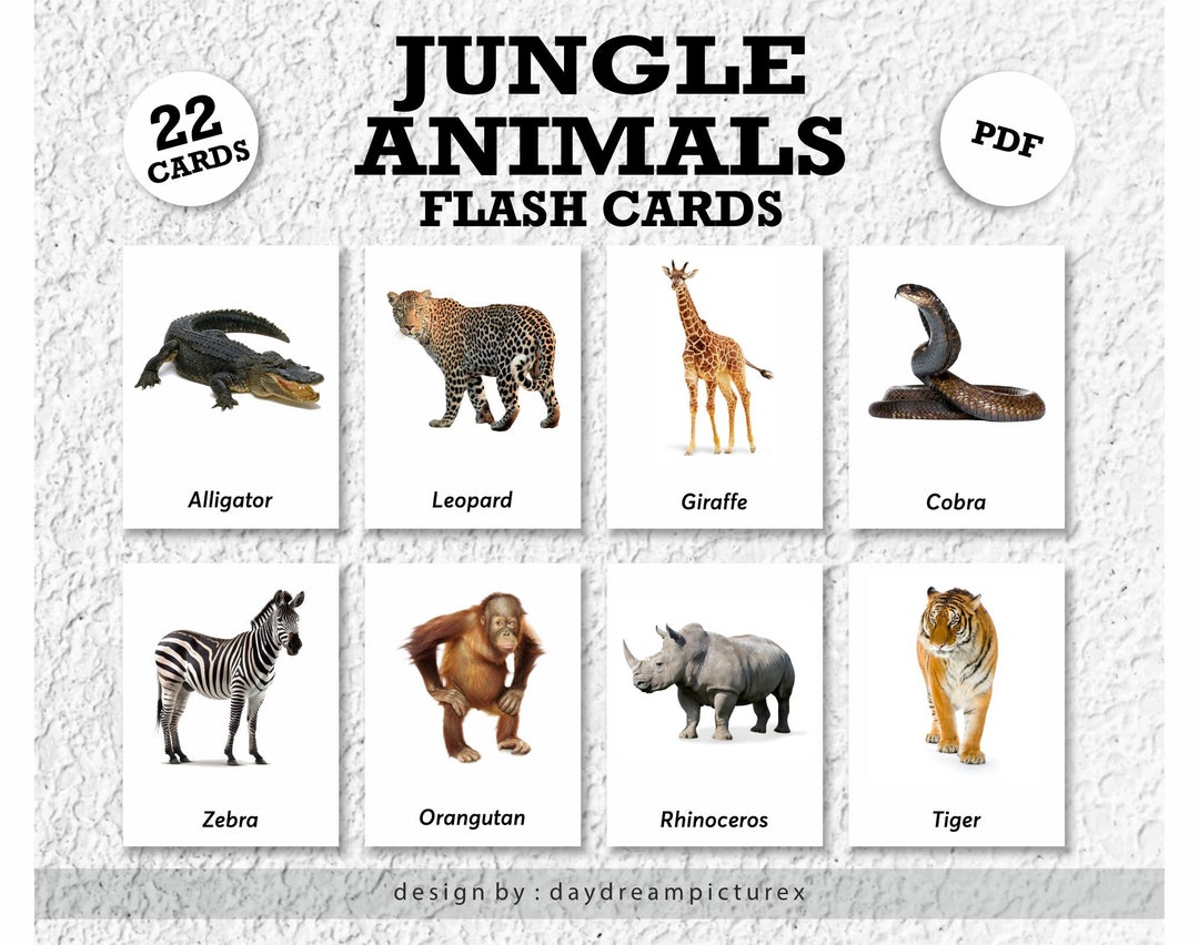 22 JUNGLE Animals Montessori Flashcards, JUNGLE Animals Flash Cards ...