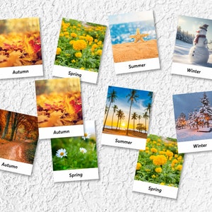 32 Seasons Montessori Flashcards, 4 SEASONS Flash Cards, PDF Printable ...