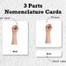 22 BODY PARTS Montessori Flashcards, Body Parts Flash Cards, PDF ...