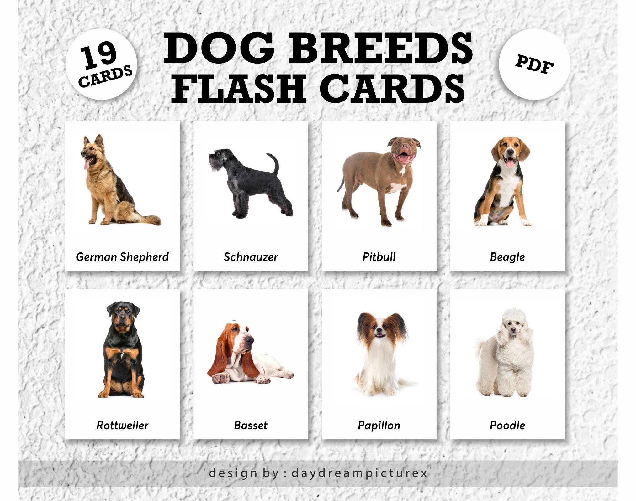 19 DOGS BREED Montessori Flashcards, Dogs Flash Cards, PDF Printable ...