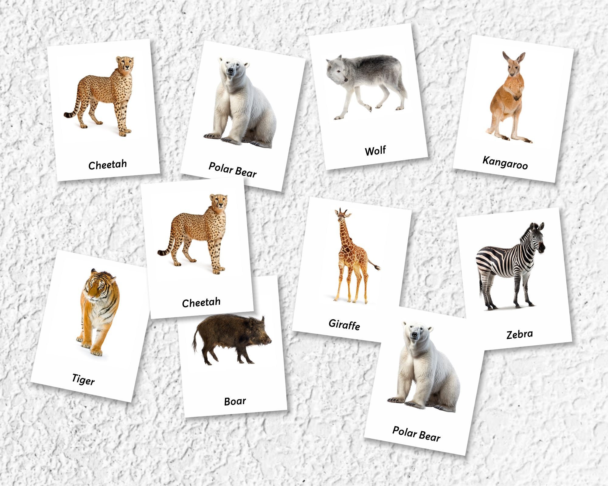 20 Wild Animals Montessori Flashcards, Animals Flash Cards, PDF ...