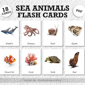 18 Sea Animals Montessori Flashcards, Animals Flash Cards, PDF ...