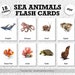 18 Sea Animals Montessori Flashcards, Animals Flash Cards, PDF ...