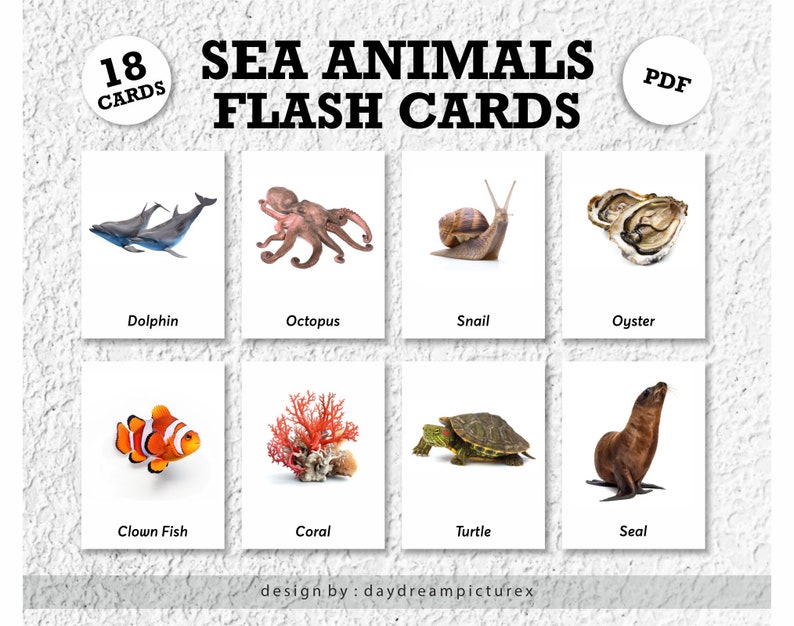 18 Sea Animals Montessori Flashcards, Animals Flash Cards, PDF ...